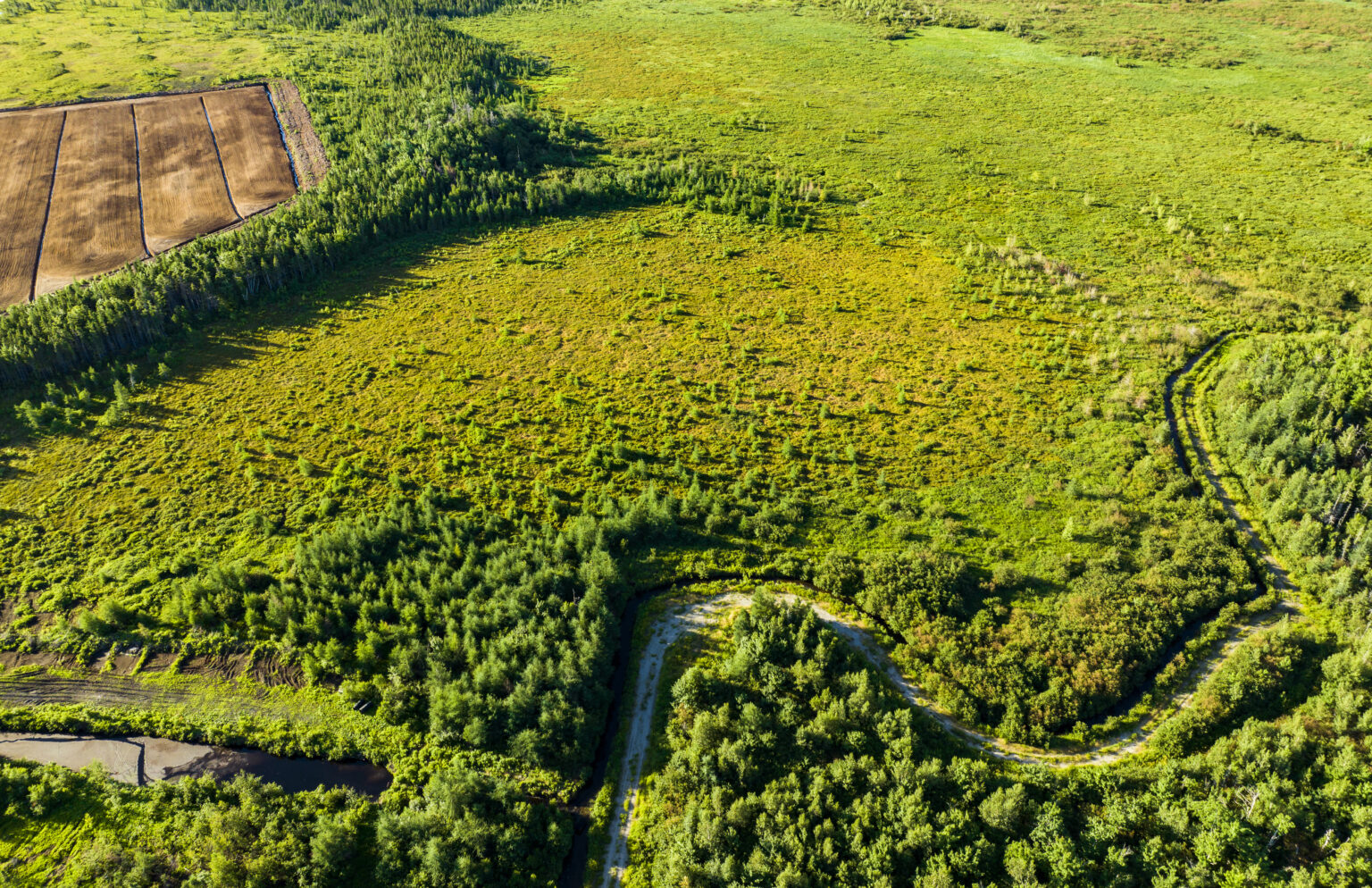 Premier Tech, une jeune entreprise centenaire marquée par son ...